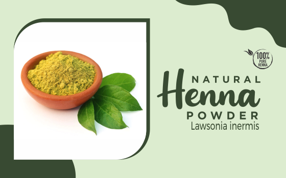 Best Indian Herbal Powders | Indian Herbal Powders | DKI Henna