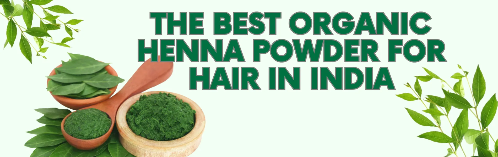 Best Organic Henna Powder for Hair in India: Lawsonia Inermis Magic